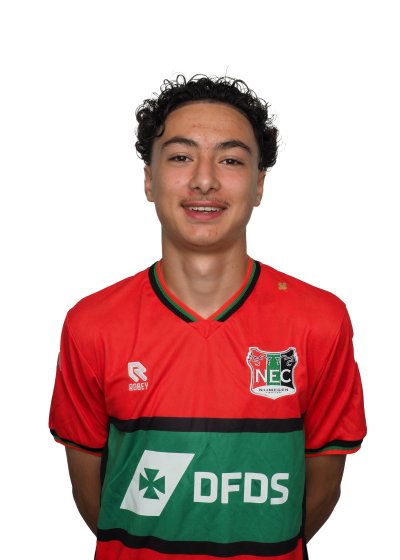 N.E.C. - Radmehr Gozardanabakhsh